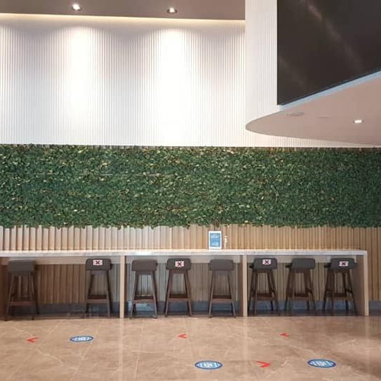 TGV Multiplex Cinema, Tasek Central – ChekSern Young